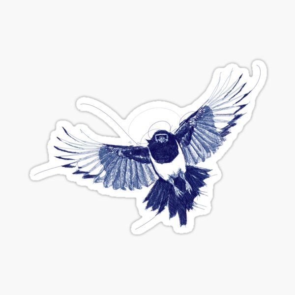 "Australian Magpie Line Drawing" Sticker for Sale by dillondesignlab ...
