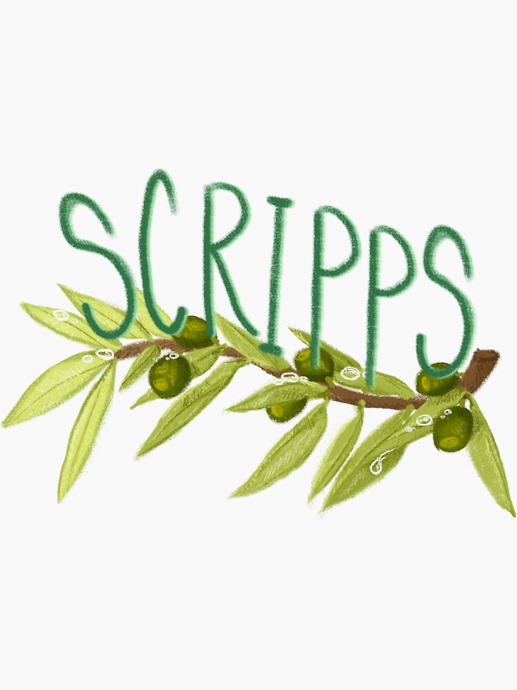 "Scripps Olives" Sticker by quaasistellaar | Redbubble