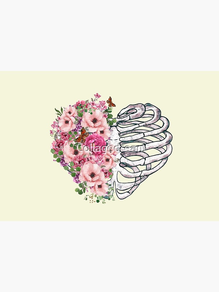 "Rib cage heart shape and pink roses, rib cage, anatomy heart, skeleton ...