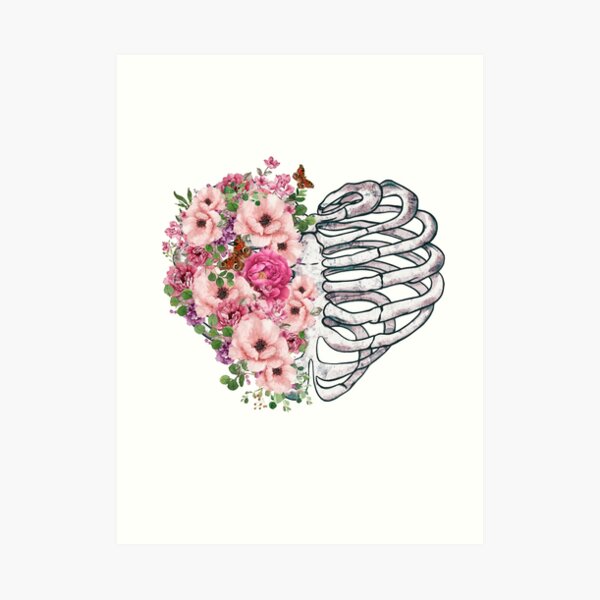 "Rib cage heart shape and pink roses, rib cage, anatomy heart, skeleton ...