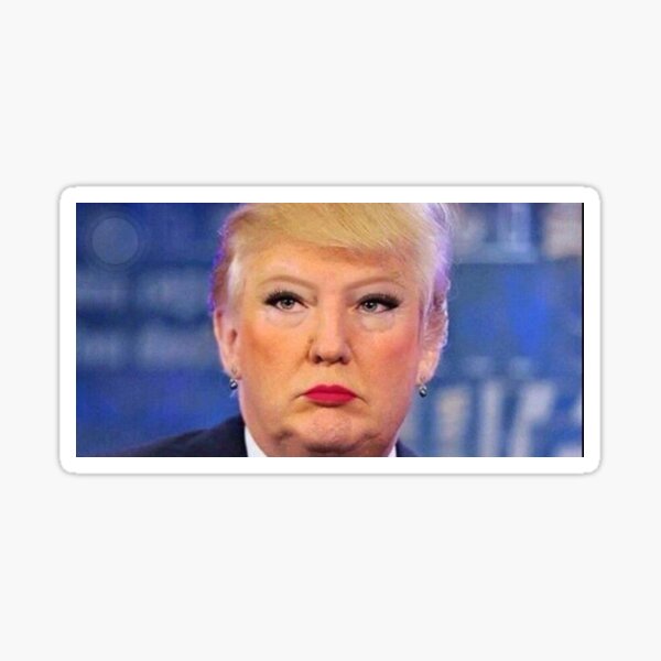 "Donald Trump & Hillary Clinton" Sticker for Sale by Fatkulin-A | Redbubble