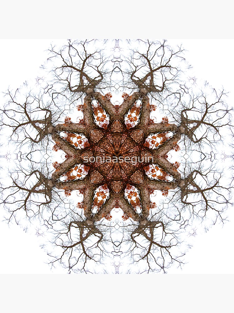 "Mandala circle. Brown mandala. Roots mandala. Wall decoration" Sticker ...