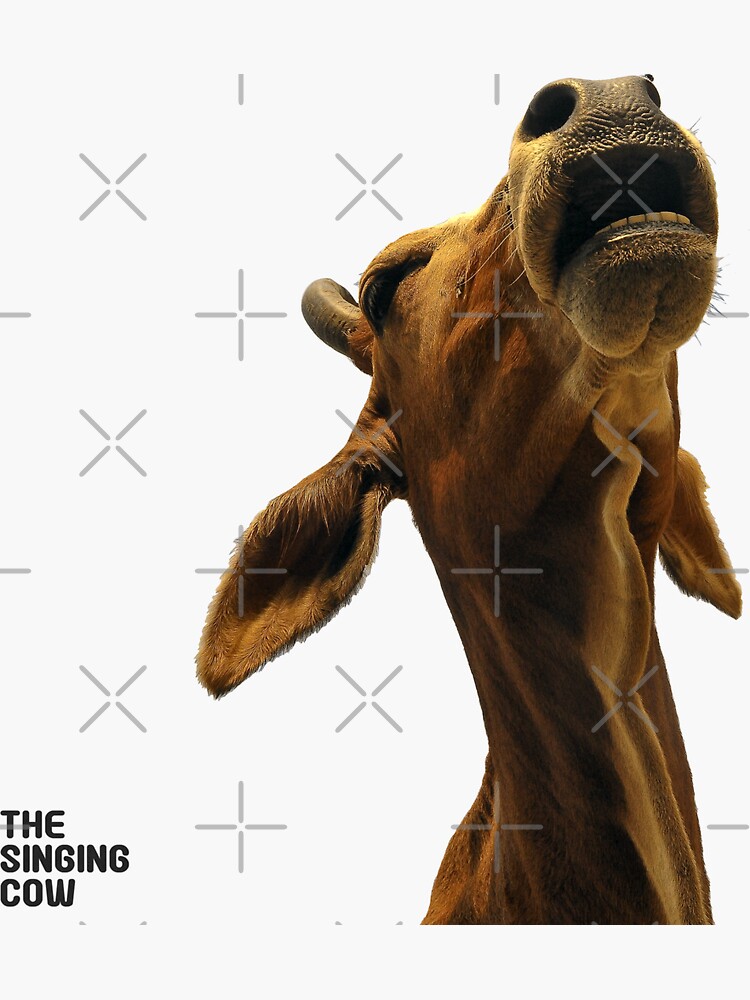 Pegatina «Vaca cantando Las vacas hablan animales lindos» de ...
