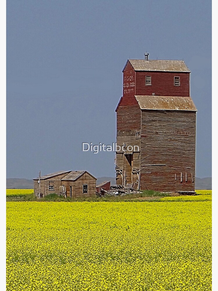 "Prairie Gold" Spiral Notebook for Sale by Digitalbcon | Redbubble