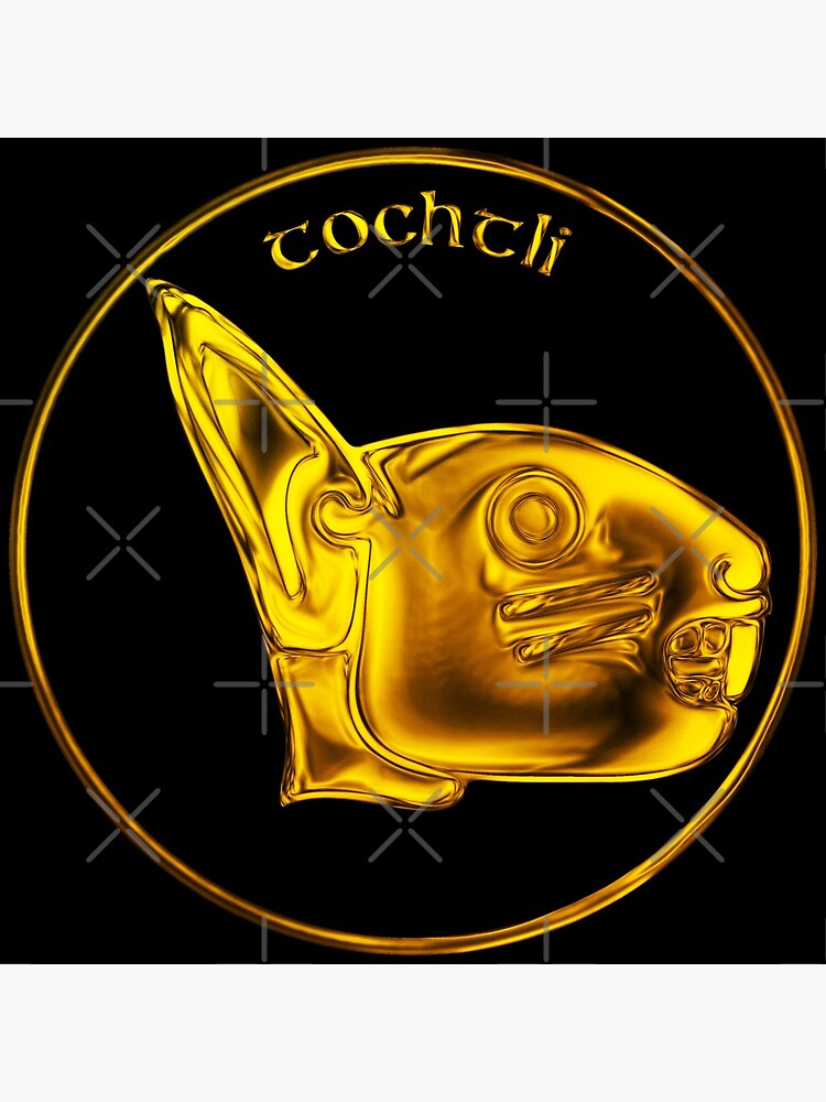 "Aztekisches Tagesschild 'Tochtli' (Kaninchen)" Fotodruck von ...