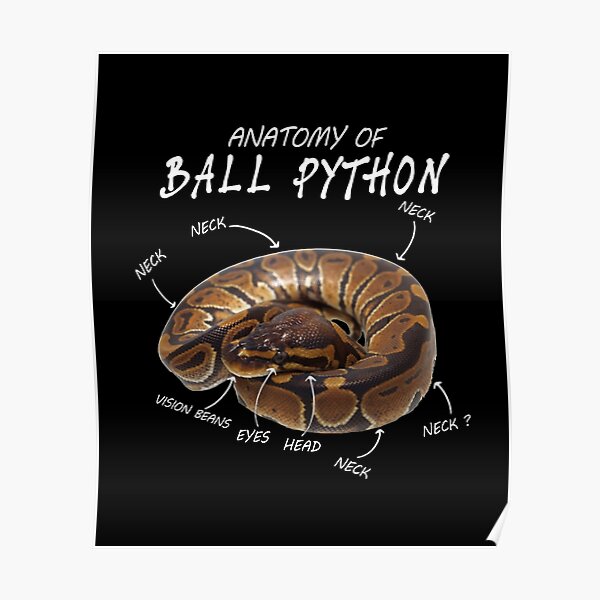 "Anatomy of a Ball Python" Poster by elzakaria | Redbubble