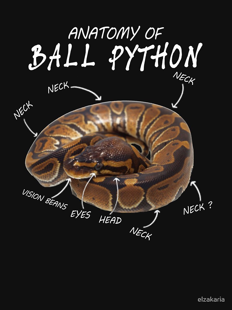 "Anatomy of a Ball Python" T-shirt for Sale by elzakaria | Redbubble ...