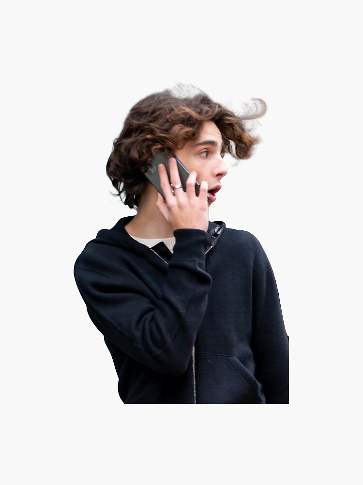 "Surprise Timmy" Sticker for Sale by lpidde | Redbubble