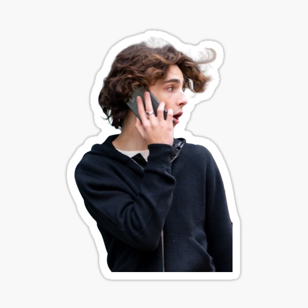 "Surprise Timmy" Sticker for Sale by lpidde | Redbubble