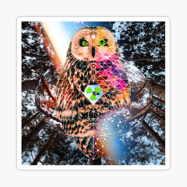 "Trippy Psychedelic Fractal Owl " Sticker by kandycoded | Redbubble