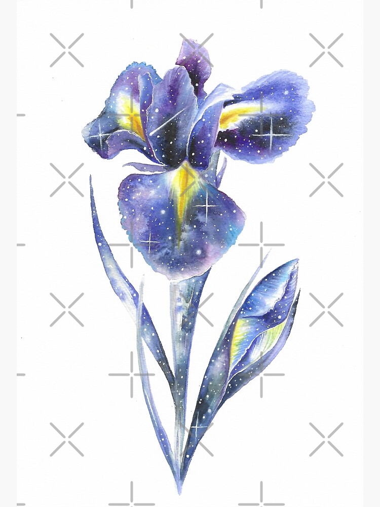 "Galaxy Iris" Art Print for Sale by willowheath | Redbubble