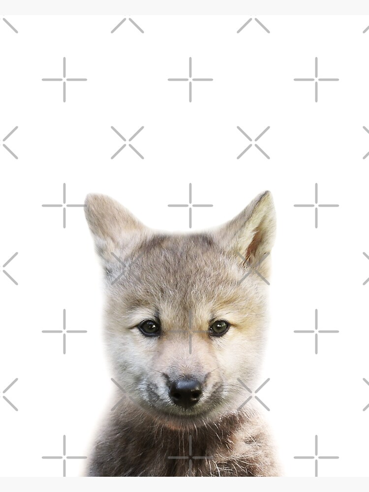 "Wolf Pup Art Print by Zouzounio Art" Sticker by zouzounioart | Redbubble