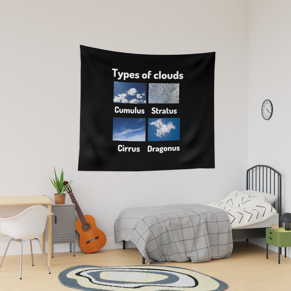"Types of clouds (cumulus, stratus, cirrus, dragonus)" Poster for Sale ...