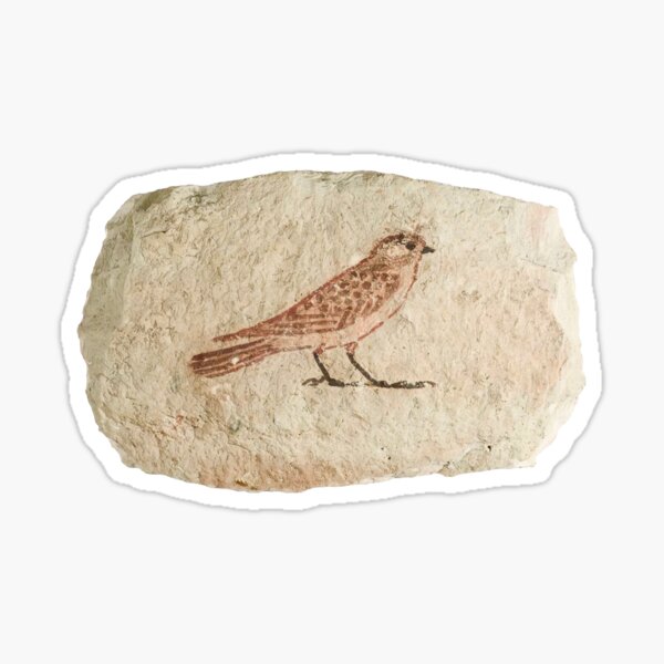 "Limestone ostraca with a painting of a Swallow (On black)" Sticker by ...