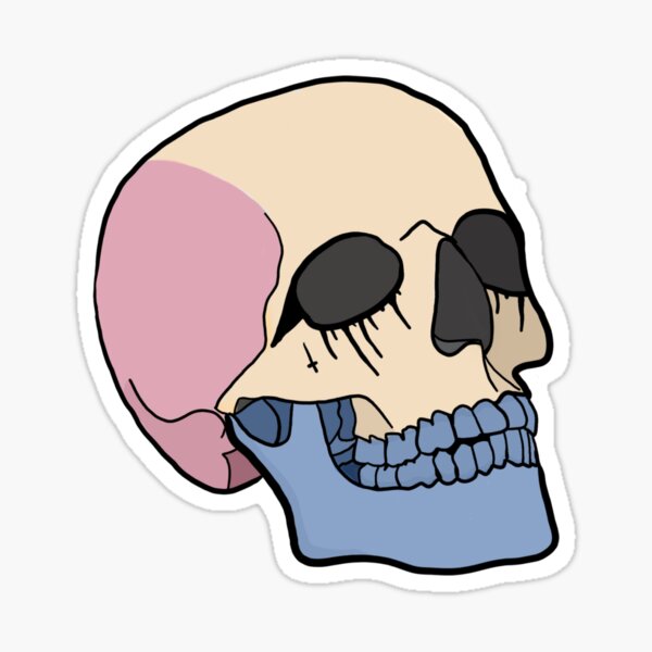 "alt skull pan pride" Sticker for Sale by uniiem | Redbubble