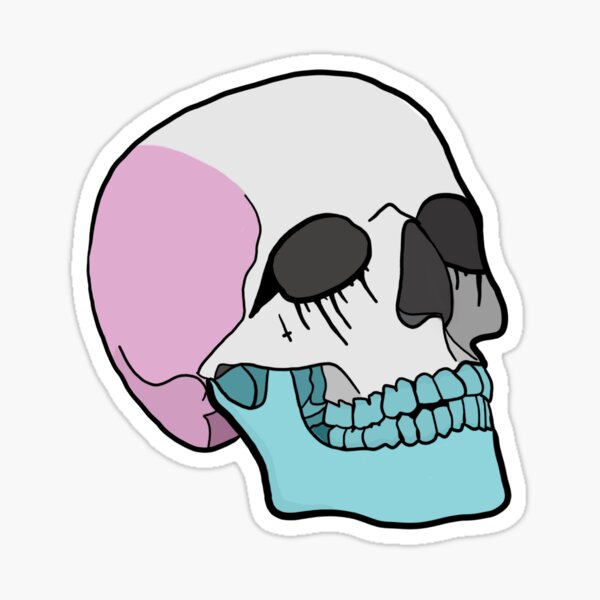 "alt skull trans pride v2" Sticker for Sale by uniiem | Redbubble