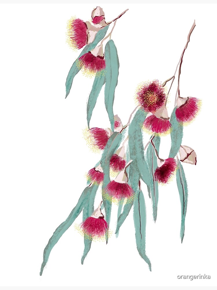 "Gum tree flowers, australian native plants" Art Print for Sale by ...