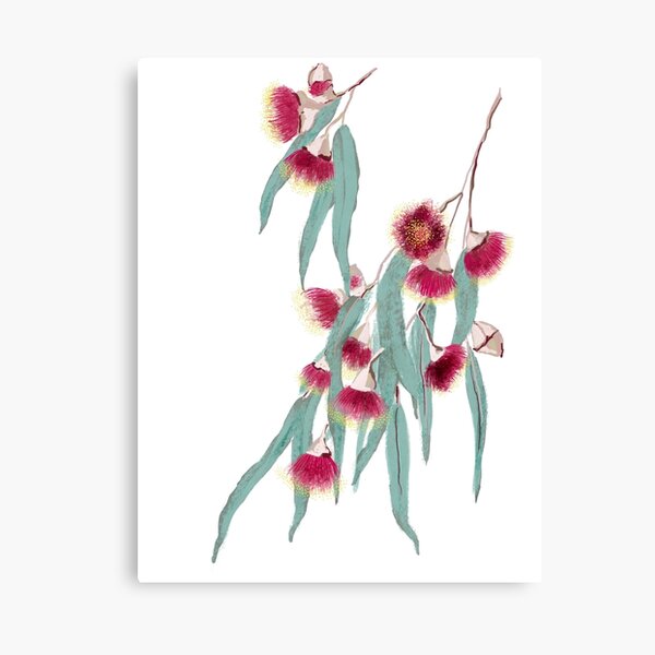 Australian Native Plants Wall Art | Redbubble