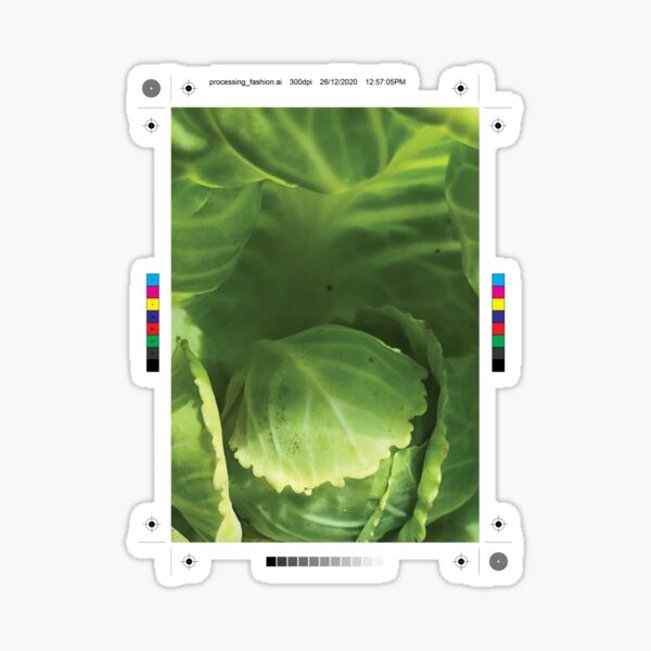 "Cabbage" Sticker for Sale by deliciae-vestis | Redbubble
