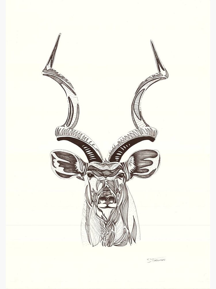 "Africa Kudu" Sticker for Sale by WiKR | Redbubble