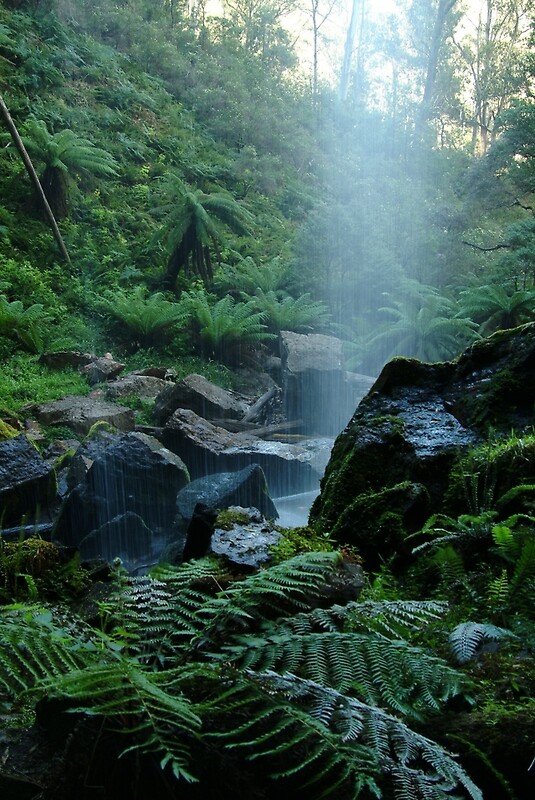 "Joe Mortelliti Gallery - Bindaree Falls on Mt Stirling, alpine ...