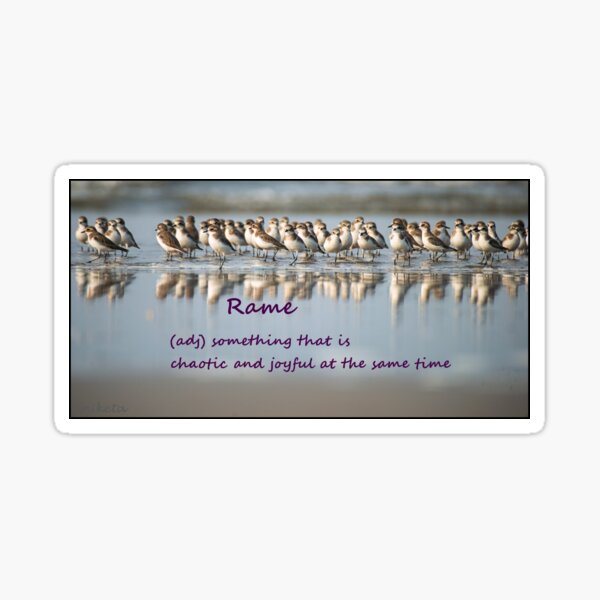 Amazing Words In English Sticker By Aniketa Redbubble amazing-words-in-english-sticker-by-aniketa-redbubble