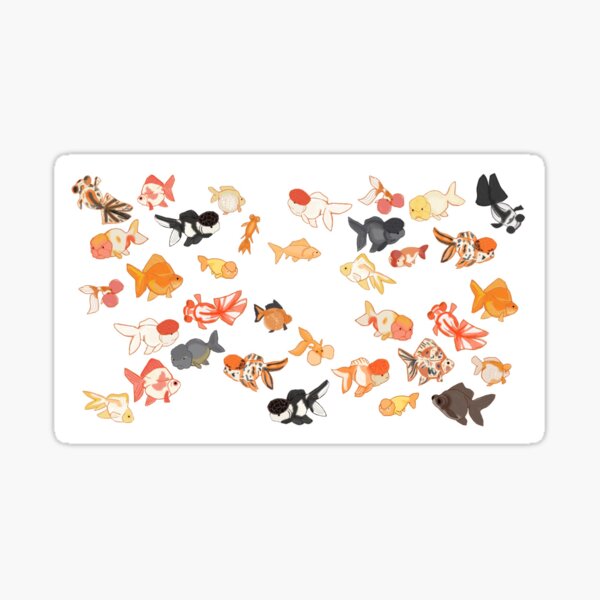 "Goldfish" Sticker by bomvibes | Redbubble