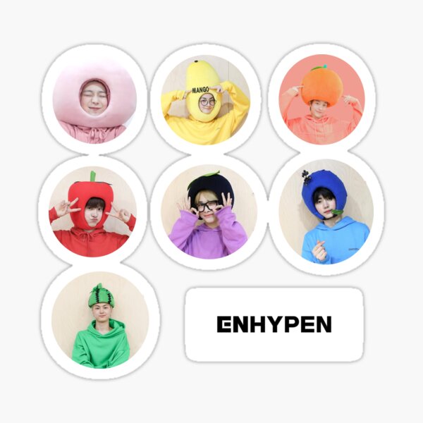 "ENHYPEN Fruit Pack" Sticker for Sale by luizaliz | Redbubble