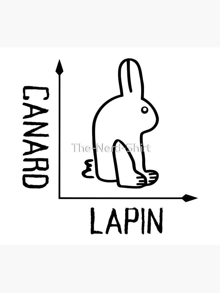 "Wittgenstein's Duck Rabbit - Optical Illusion Gift in french" Poster ...