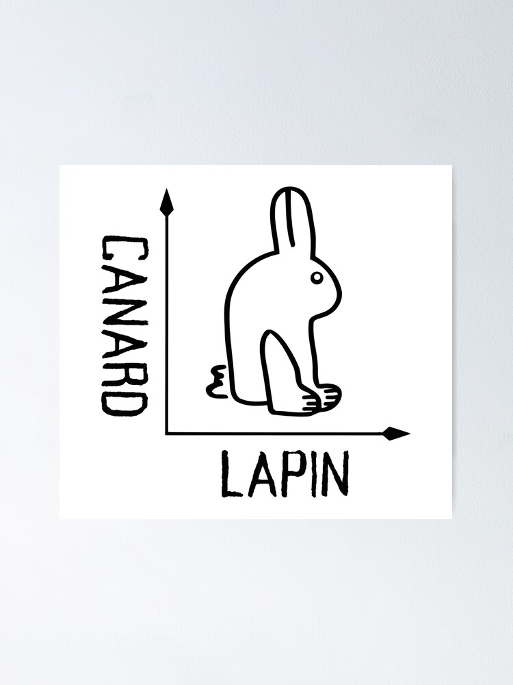 "Wittgenstein's Duck Rabbit - Optical Illusion Gift in french" Poster ...