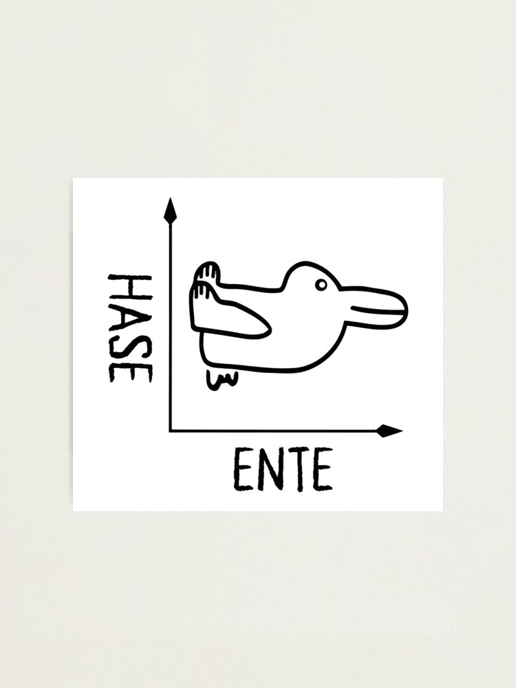 "Wittgenstein's Rabbit Duck - Optical Illusion Gift in german ...