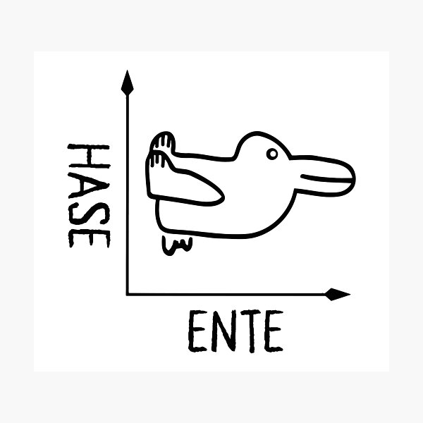 "Wittgenstein's Rabbit Duck - Optical Illusion Gift in german ...