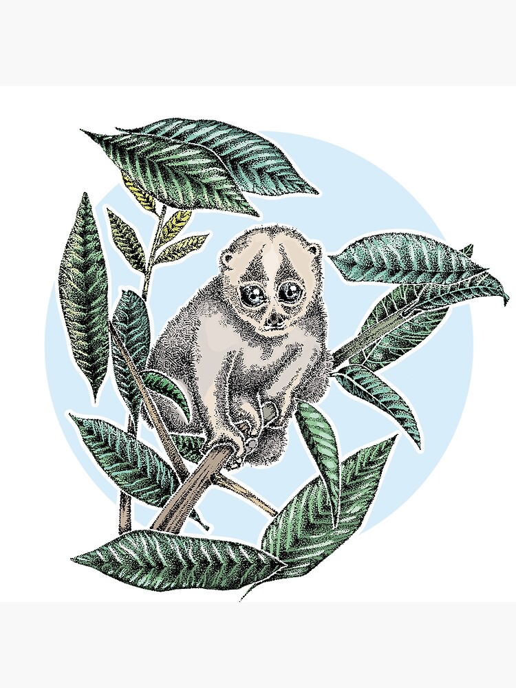 "Drawing of a cute slow loris - save the slow loris" Throw Pillow by ...