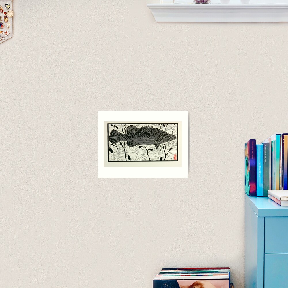 "Murray Cod" Art Print for Sale by poswin | Redbubble