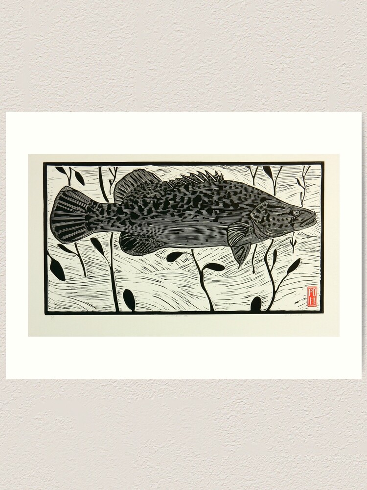 "Murray Cod" Art Print for Sale by poswin | Redbubble