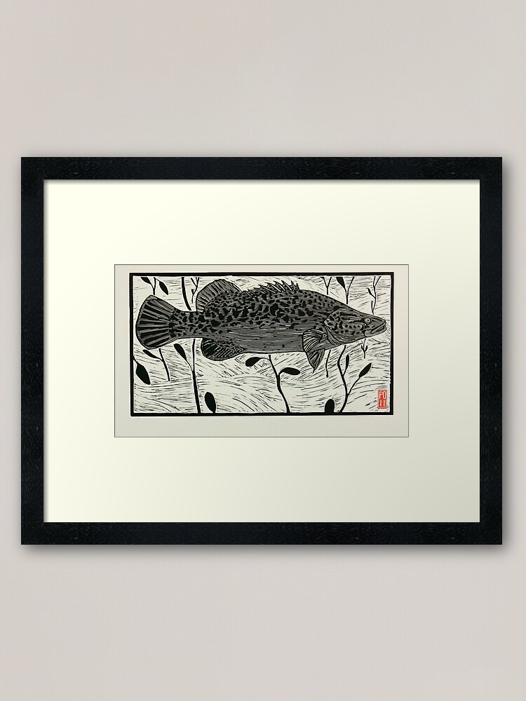 "Murray Cod" Framed Art Print for Sale by poswin | Redbubble