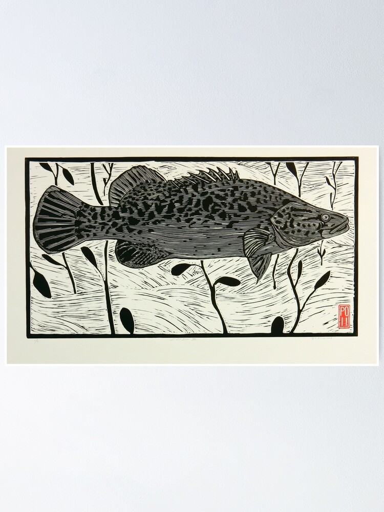 "Murray Cod" Poster by poswin | Redbubble