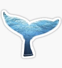 Whale: Stickers | Redbubble