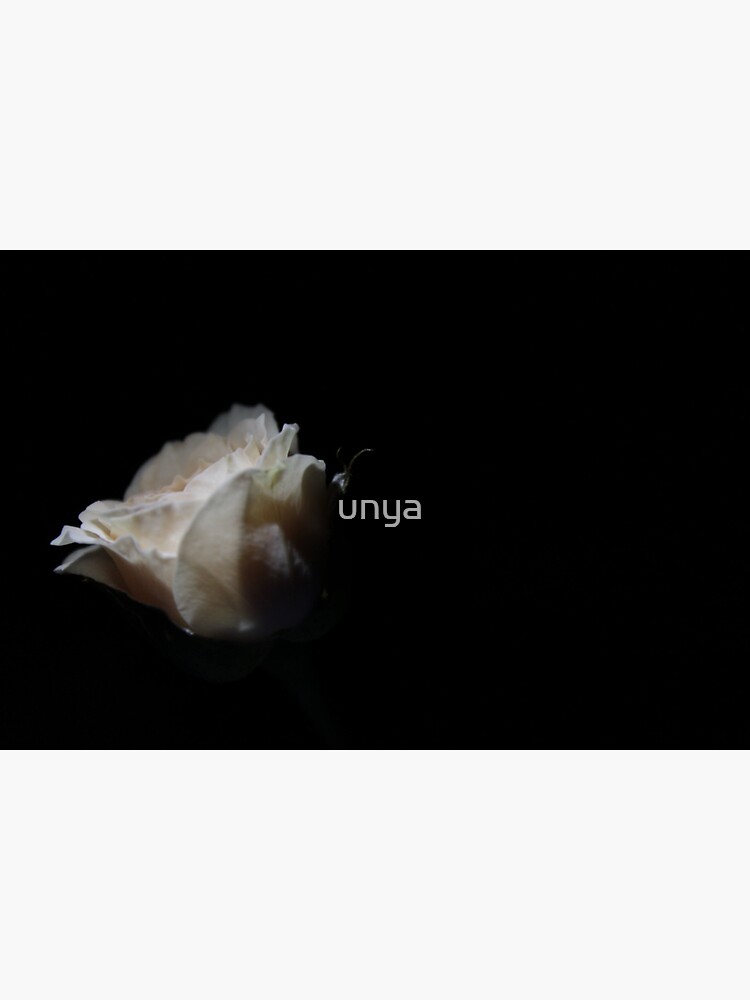 "White Rose" Sticker for Sale by unya | Redbubble