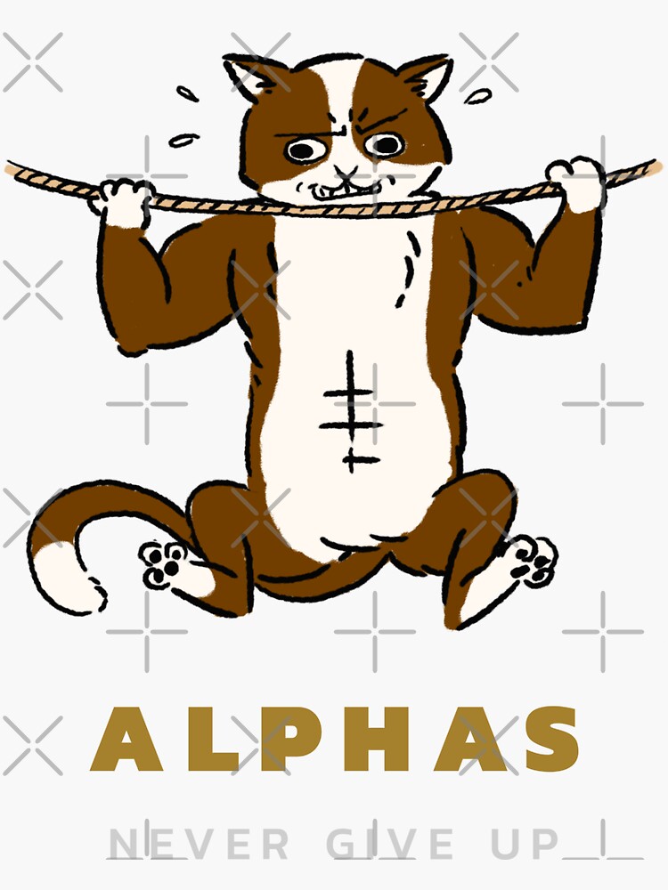 "Alphas Never Give Up Cat pull Up Motivation " Sticker for Sale by ...