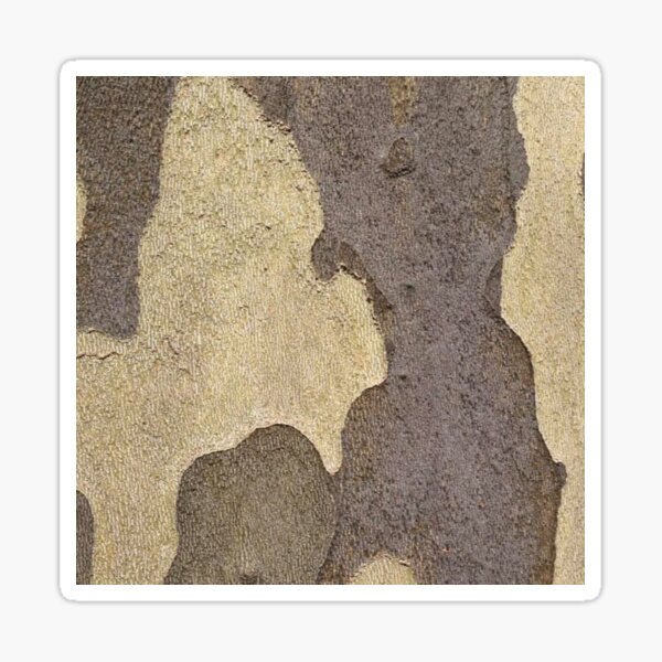 "Bark" Sticker for Sale by Beardeaux | Redbubble