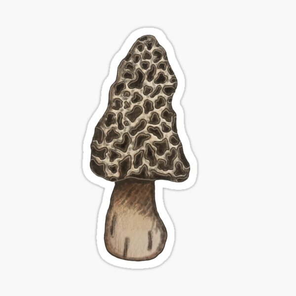 "Happy little Morel Mushroom!" Sticker for Sale by squidmushroom ...