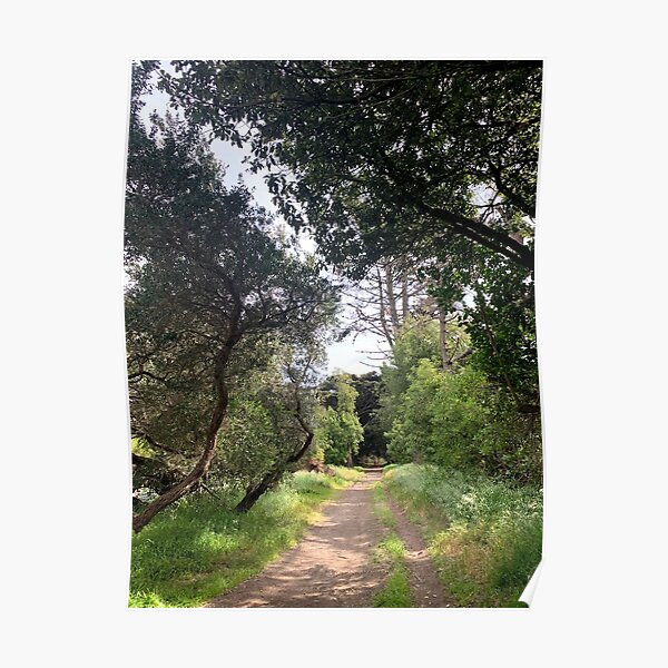 "Forest Path" Poster for Sale by joycha | Redbubble