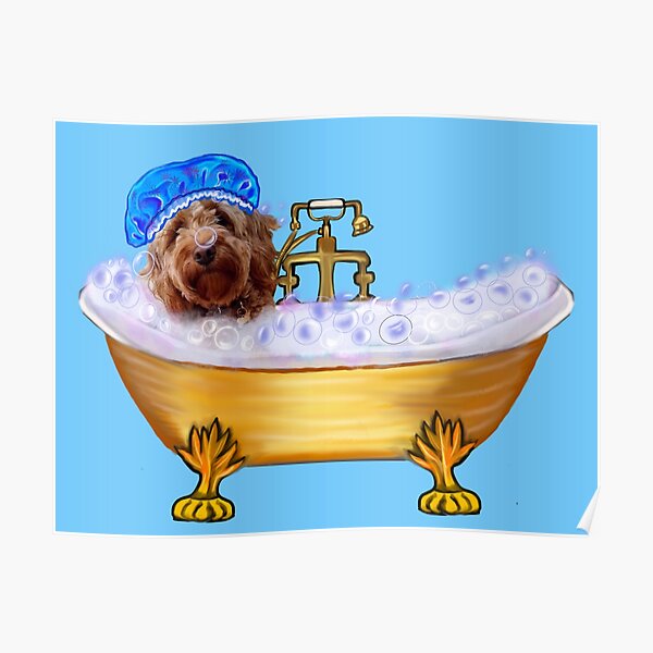 "Dog spa day- Cavapoo puppy in bubble bath. Cute cute cavalier king ...