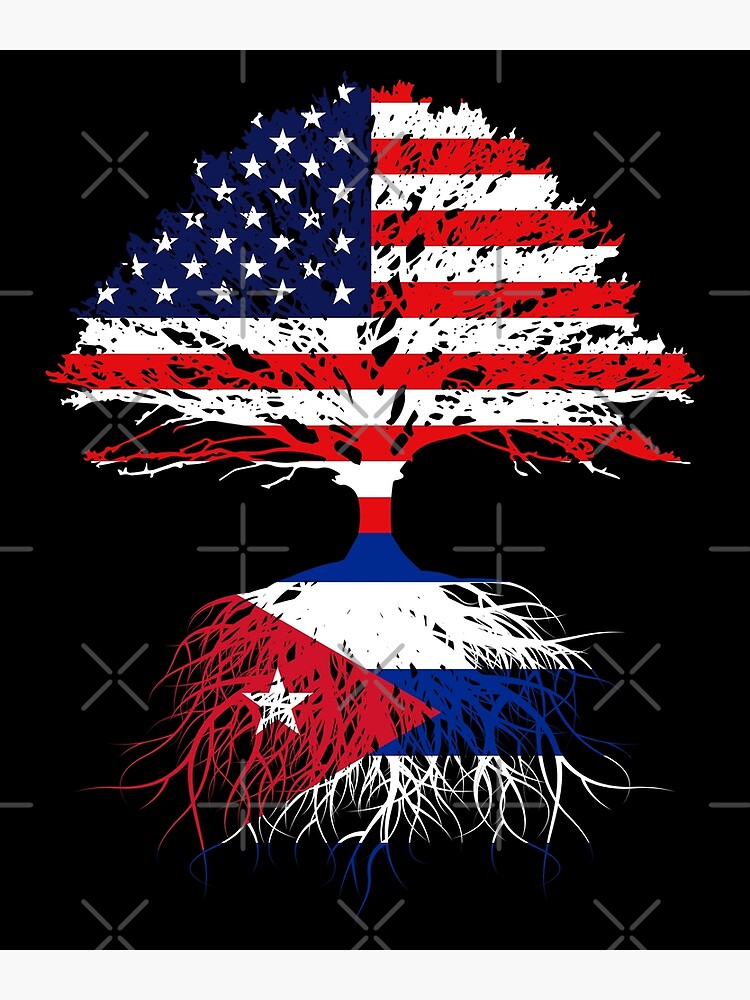 "Cuba Roots, Cuban American, Cuba USA Flags. US Naturalization Ceremony ...