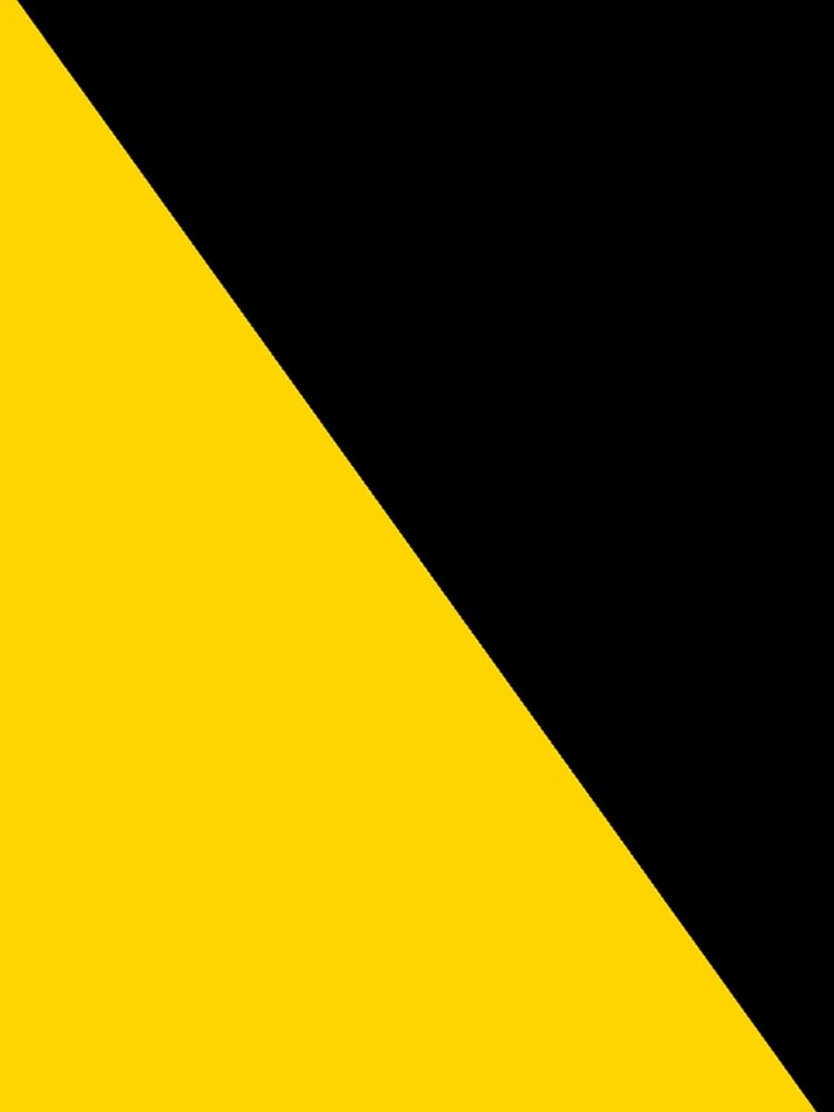 "AnCap Flag" T-shirt for Sale by RipeBananas | Redbubble | ancap ...