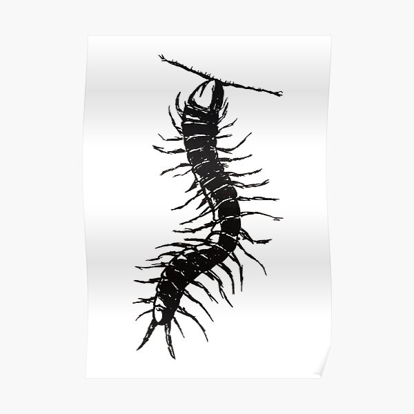 "Centipede" Poster by Lil-teabag | Redbubble