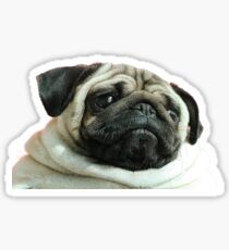 Pug: Stickers | Redbubble