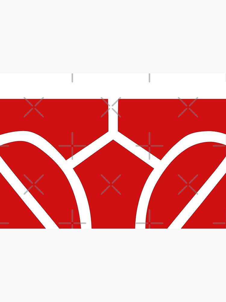 "Y-Fronts Face Mask - Red with White Y" Mask by beaglefruit | Redbubble