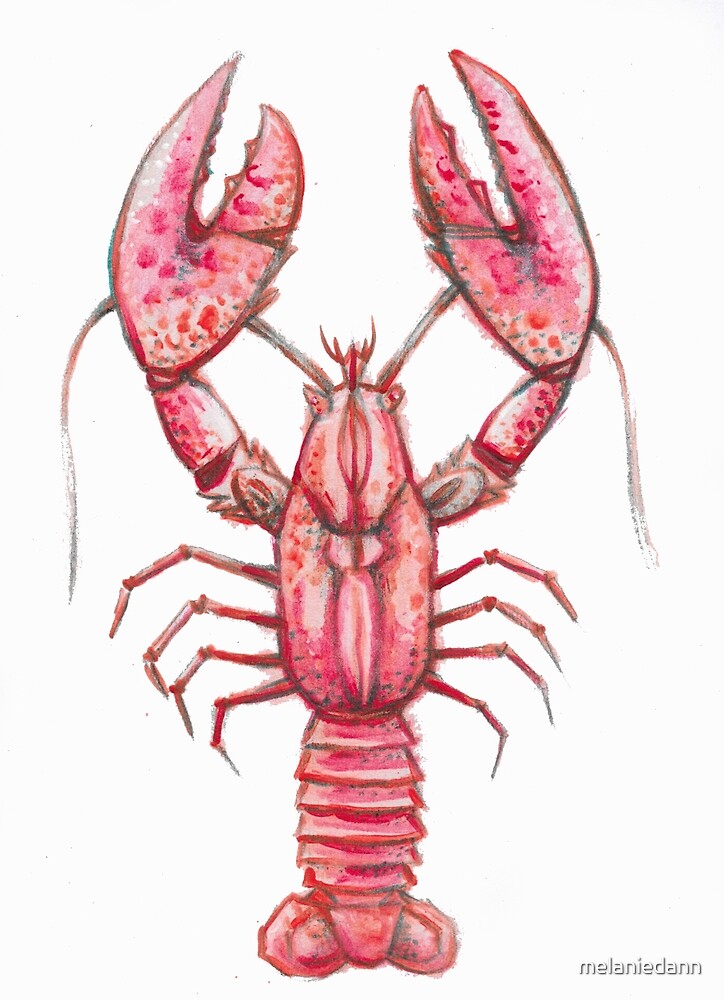 "crabby yabby " by melaniedann | Redbubble